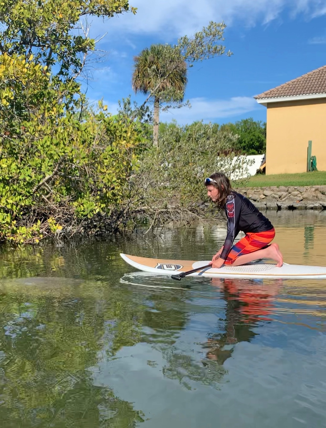 Custom Manatee Experience - Cocoa Beach or Merritt Island ...