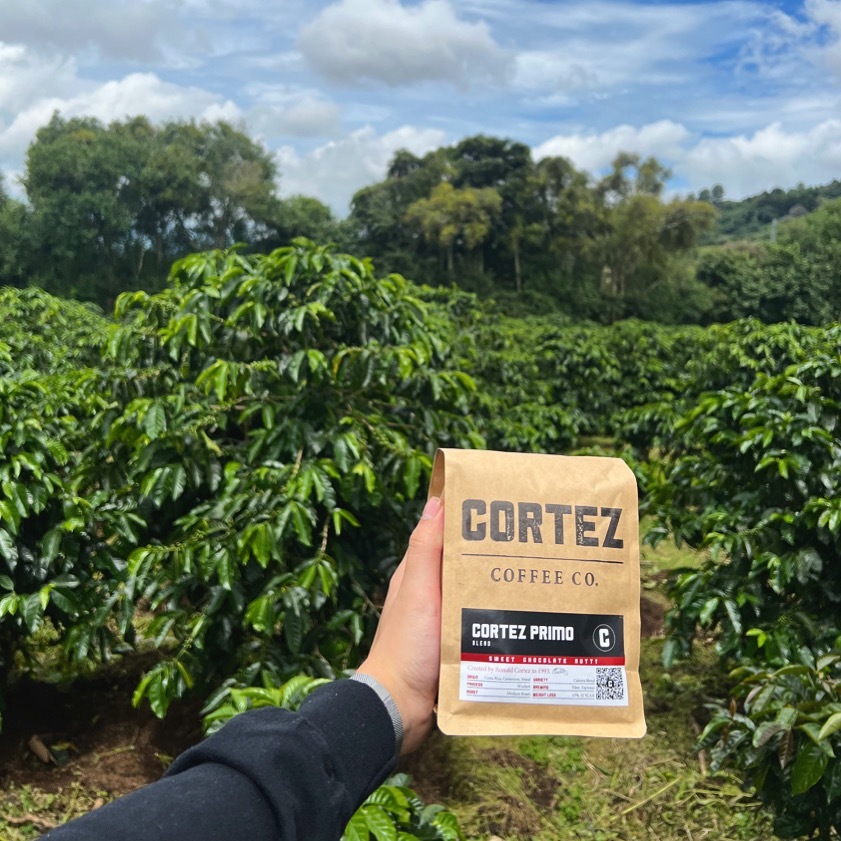 Gallo Pinto Coffee Tour - Cortez Coffee