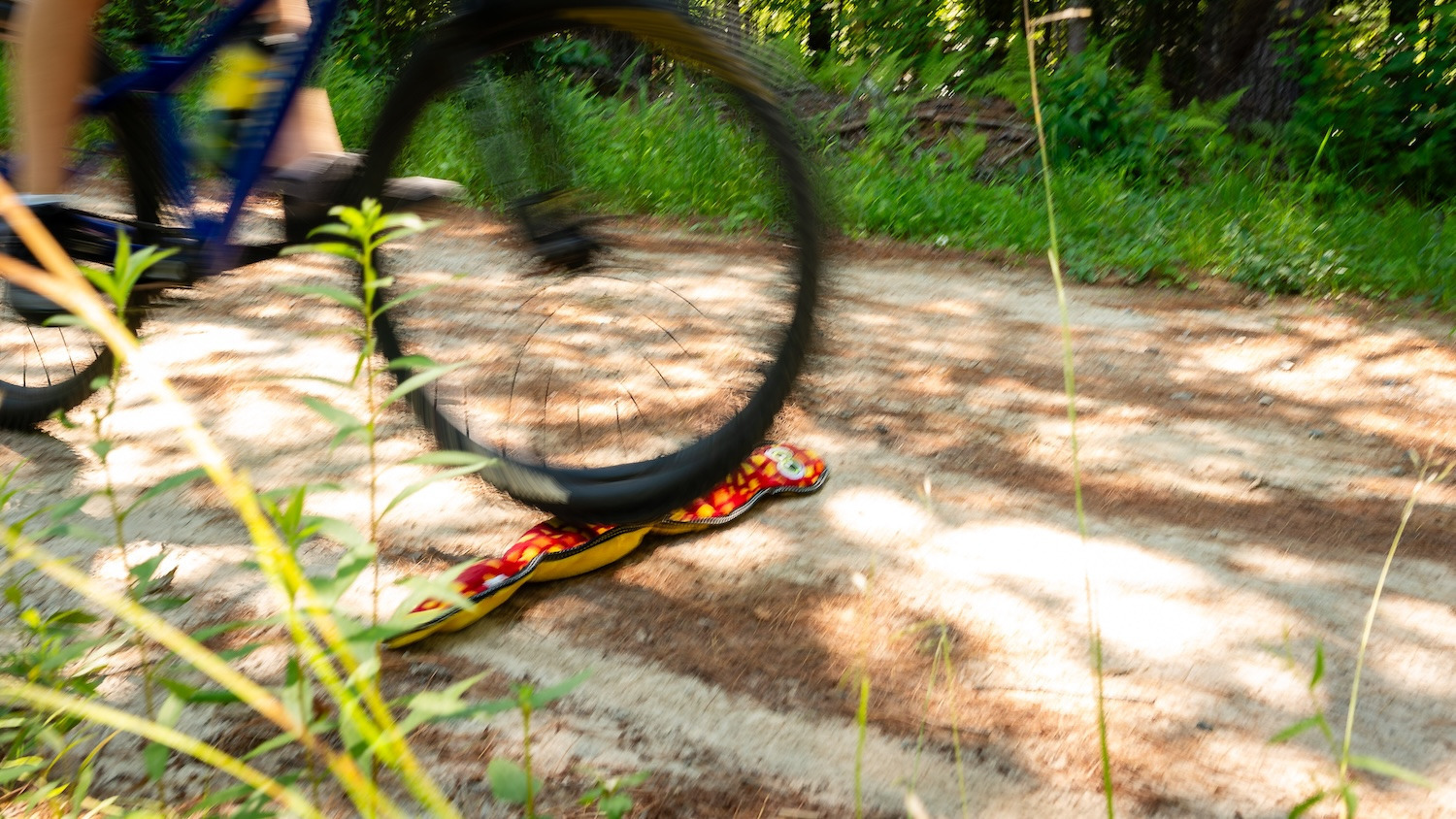 Tech Trail Applications Clinic at Santos - MTB Skills Factory